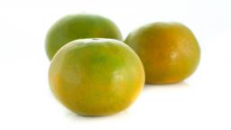 Thai Fruit - Orange | Phuket Travel Guide